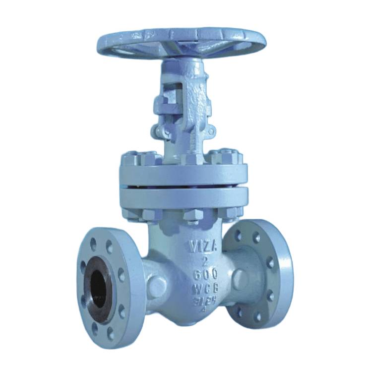 Válvula de Compuerta Acero Fundido 2" Clase 150 RF Trim 8 VIZA